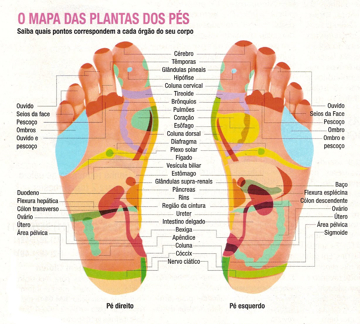 Imagens De Reflexologia Podal - BRAINCP