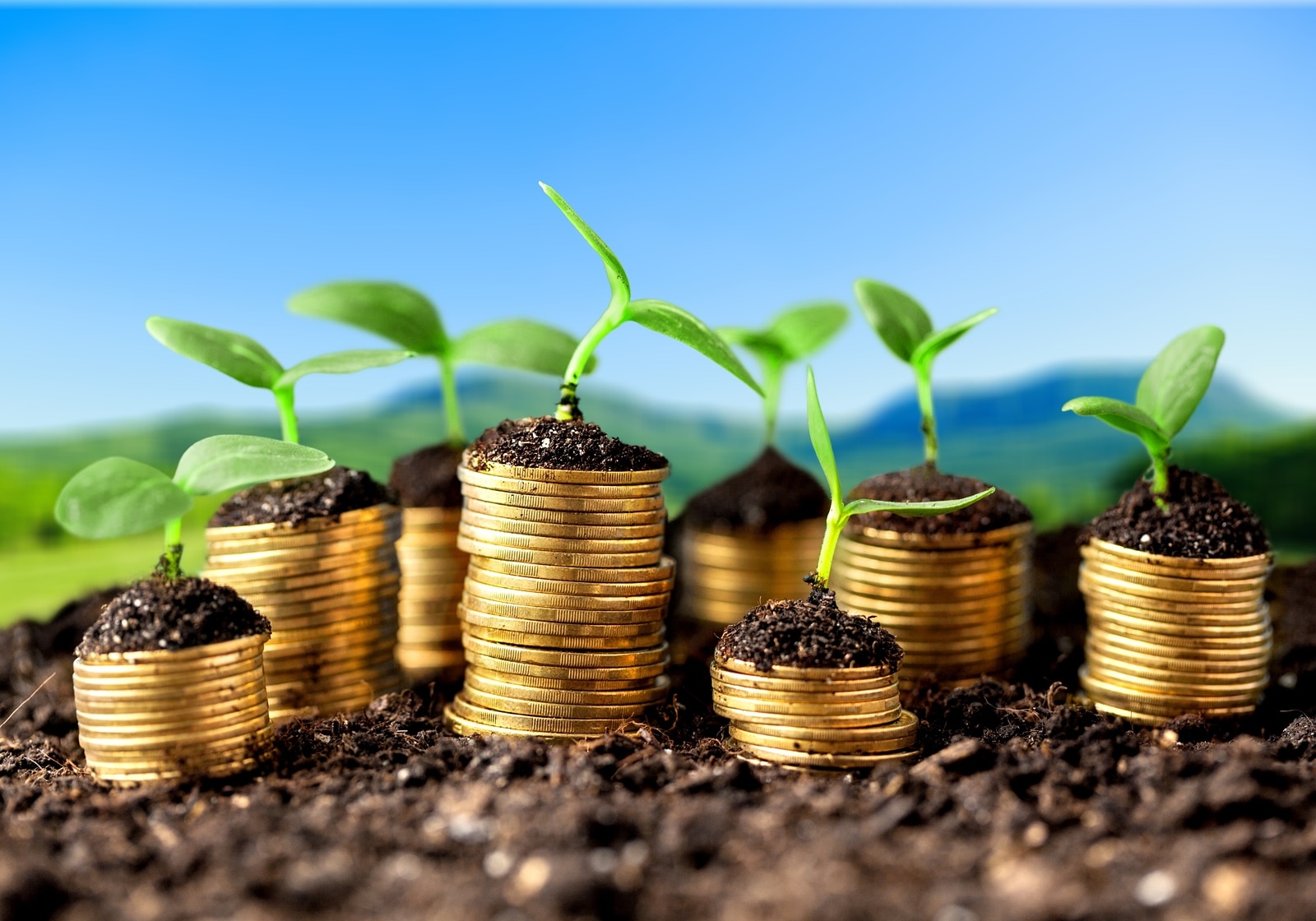 Como atrair a prosperidade em sua vida - Eu Sem Fronteiras