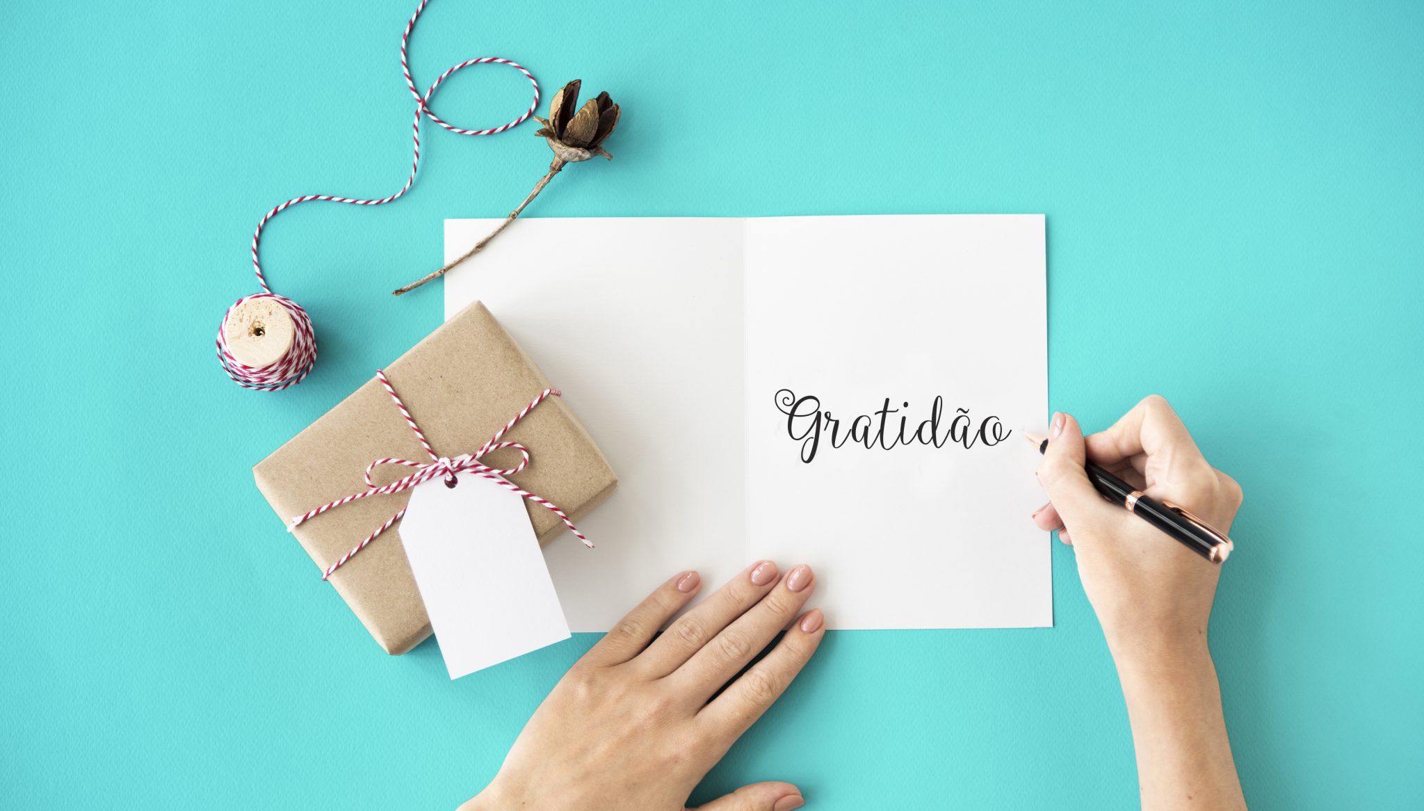 Aprenda a praticar a gratidão: Leia e reflita sobre ser grato
