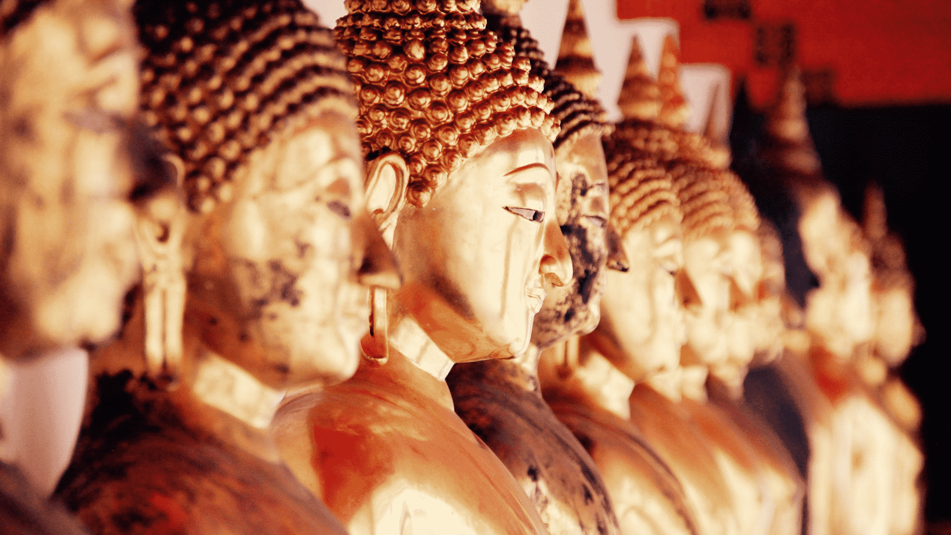 Budismo: entenda o que é e saiba quais são seus benefícios!