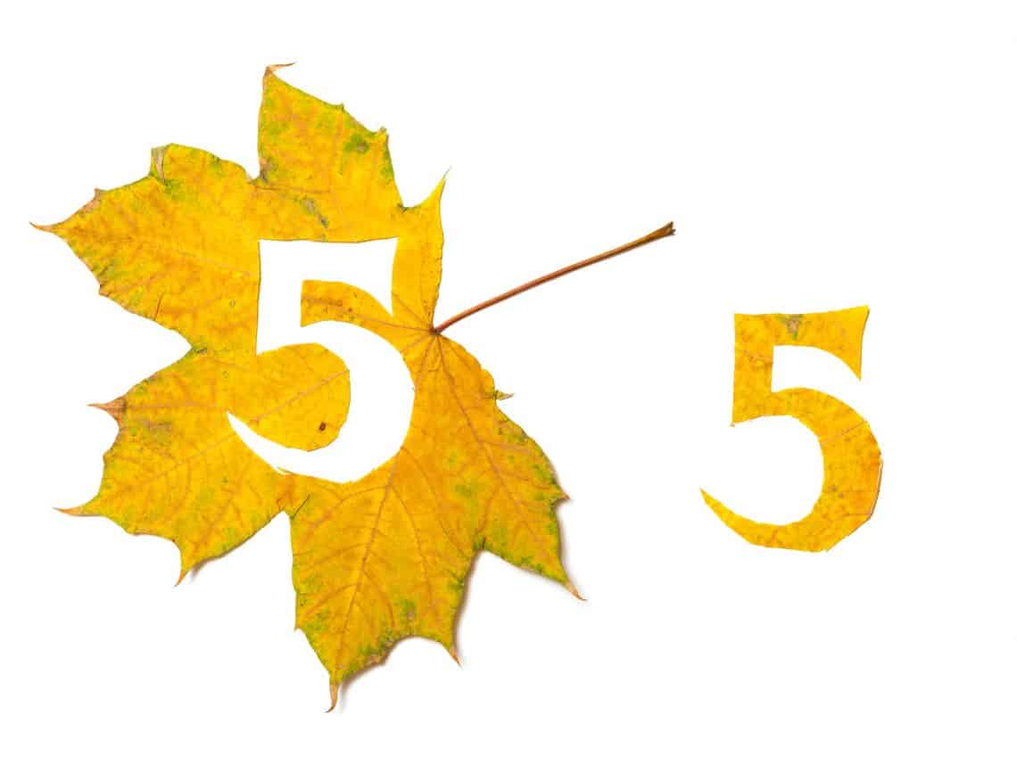 Número 5: descubra o significado atribuído pela Numerologia