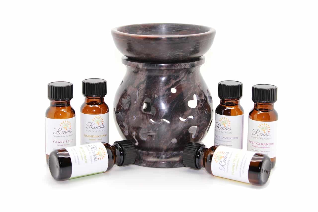 Veja Tudo O Que Você Precisa Saber Sobre O Difusor De Aromas