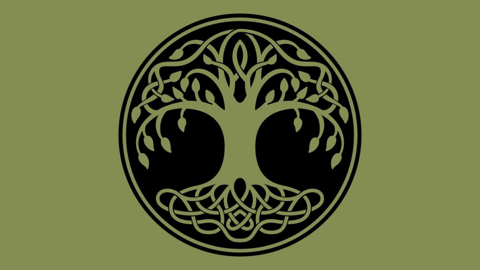 Árvore da vida: conheça os detalhes deste símbolo espiritual