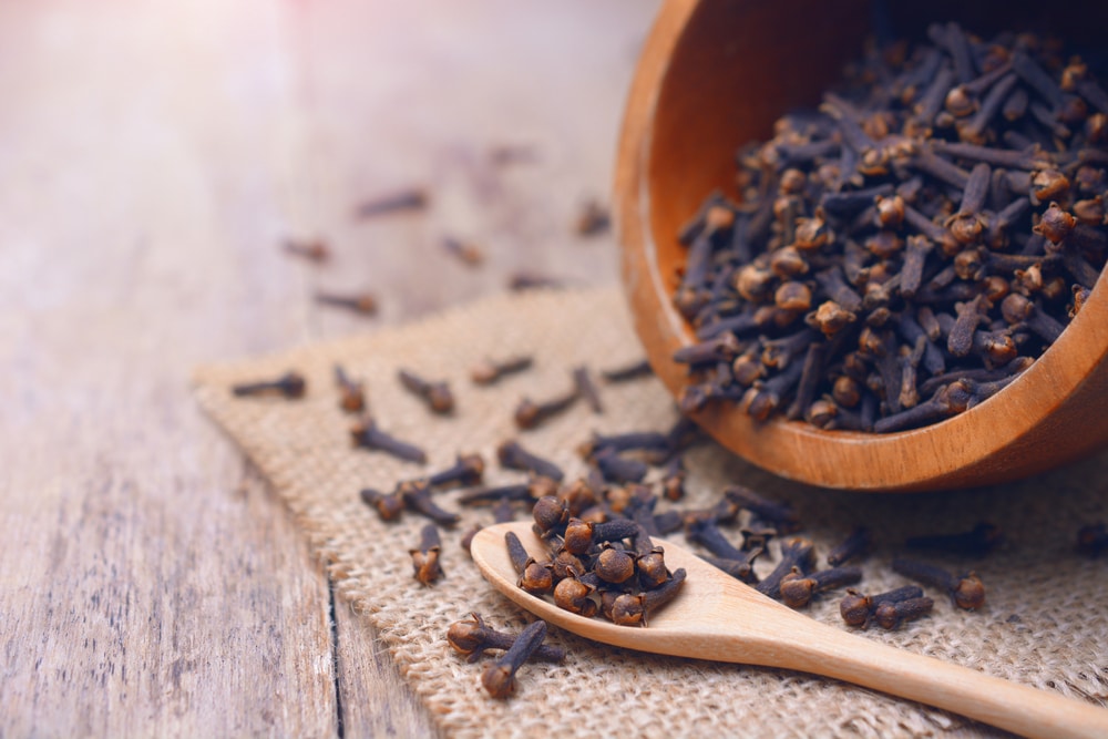 Cravo-da-índia: desvende os poderes dessa iguaria
