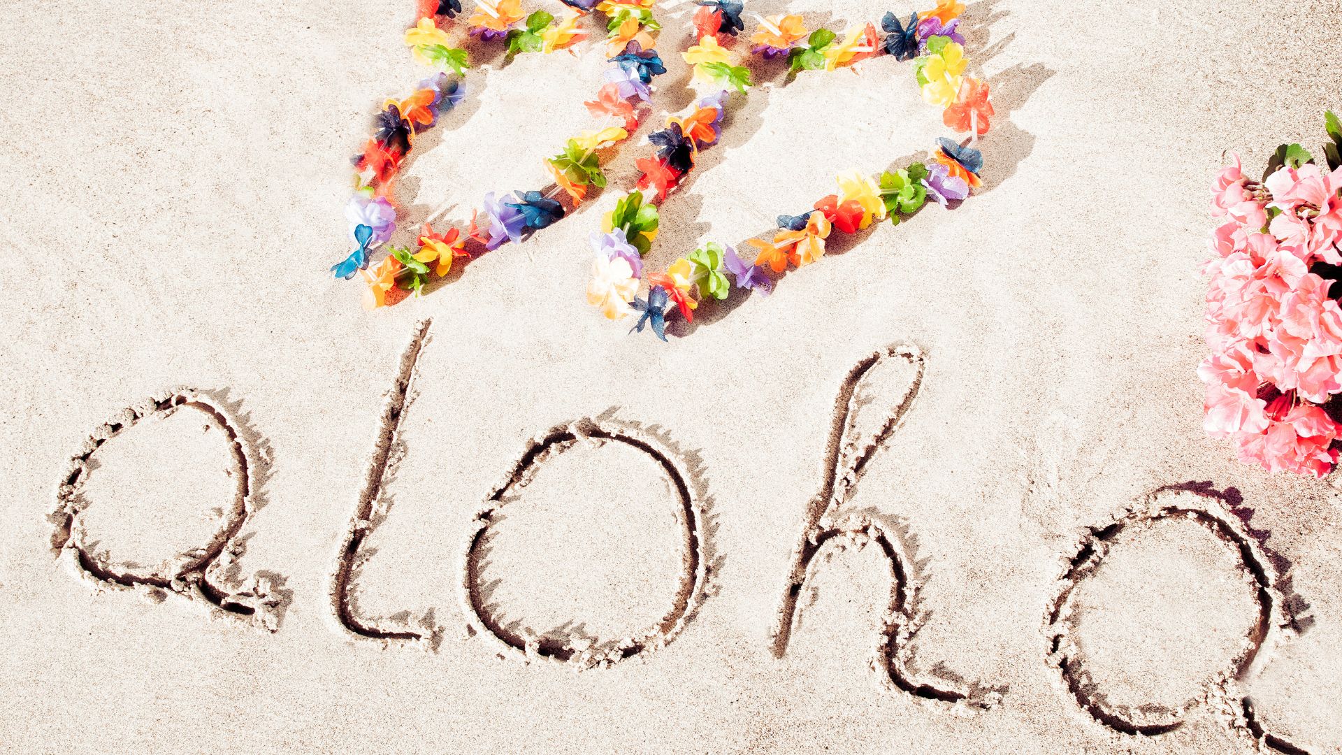 Aloha e suas lições de amor e companheirismo